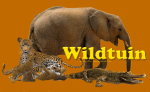 wilde diere | © My Klaskamer - idees en gedagtes uit 'n juffrou se pen