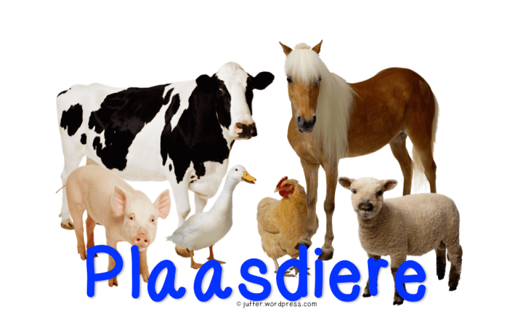 wilde diere | © My Klaskamer - idees en gedagtes uit 'n juffrou se pen