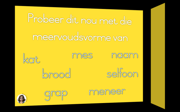 meervoud | © My Klaskamer - idees en gedagtes uit 'n juffrou se pen