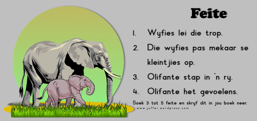 wilde diere | © My Klaskamer - idees en gedagtes uit 'n juffrou se pen
